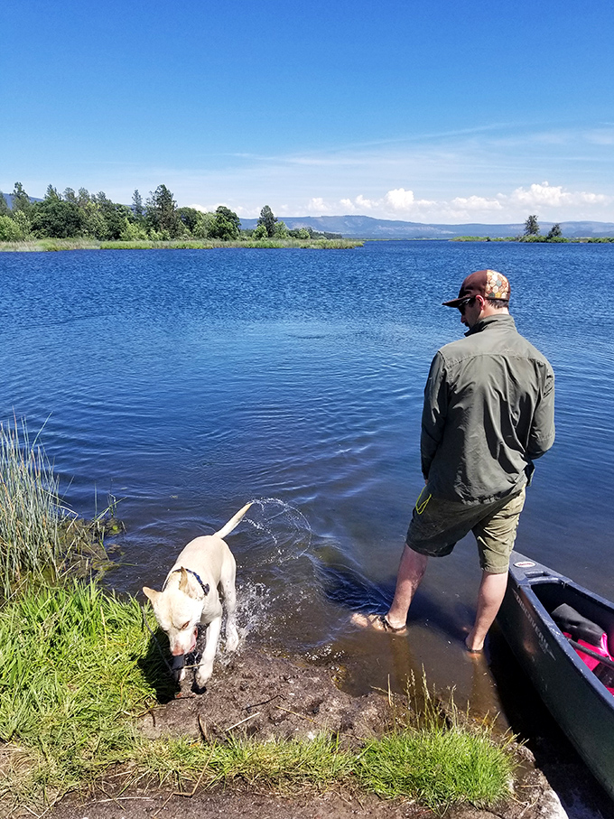 Man's best friend discovers that sniffing new territory is the canine equivalent of reading a fascinating novel – complete with surprise endings.