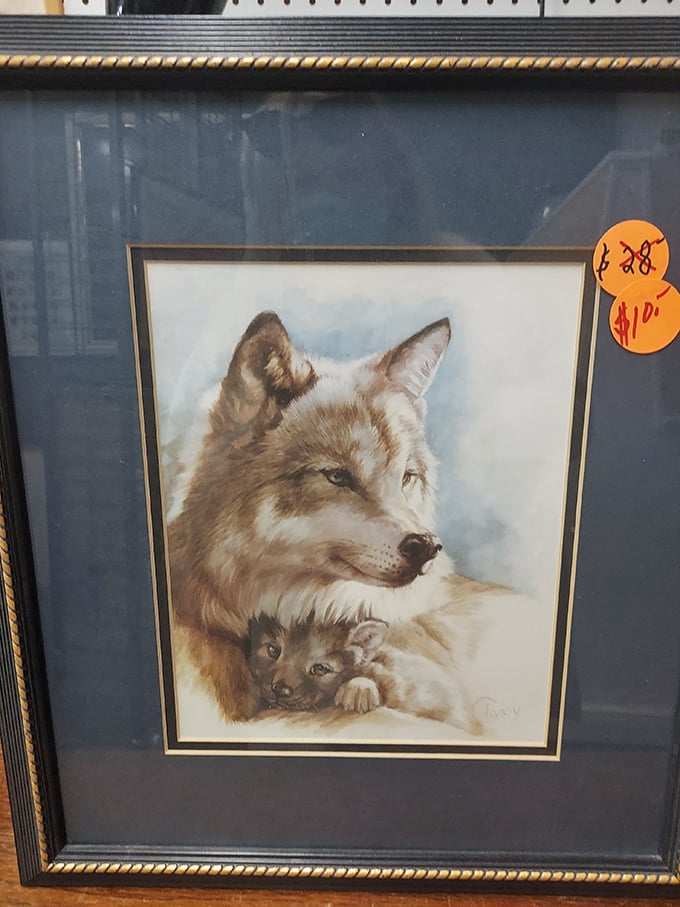 Even the wildlife is affordable here—this framed wolf portrait offers wilderness majesty for your wall at a price that won't make you howl.