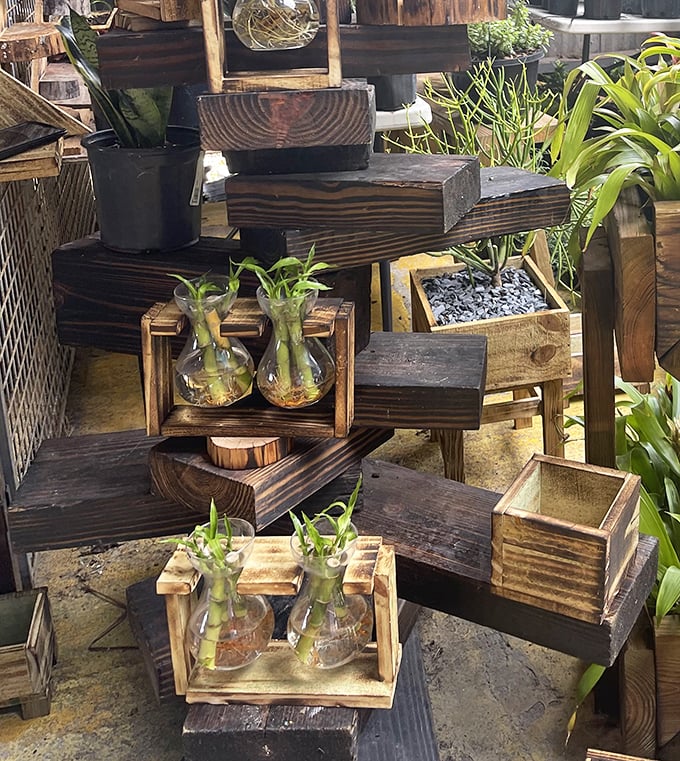 These wooden displays of bamboo plants aren't just selling greenery—they're offering little pieces of zen for your home after market madness.