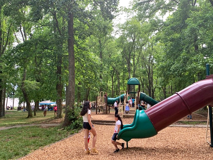 Childhood joy in its natural habitat. This playground nestled among towering trees proves screen time is no match for slide time.