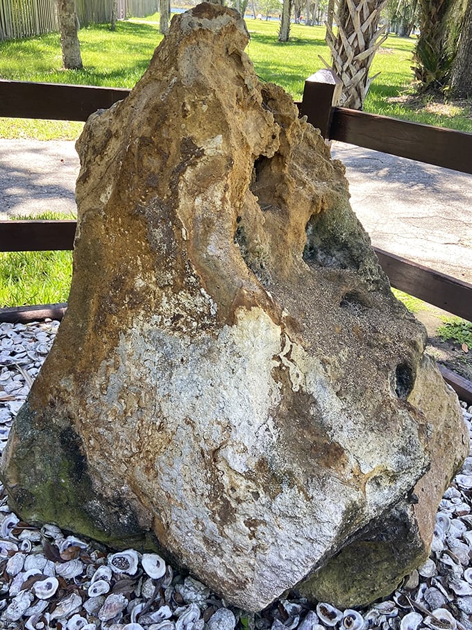 Not just any rock – this limestone formation has witnessed centuries of Florida history, standing sentinel as civilizations rose and fell around it.