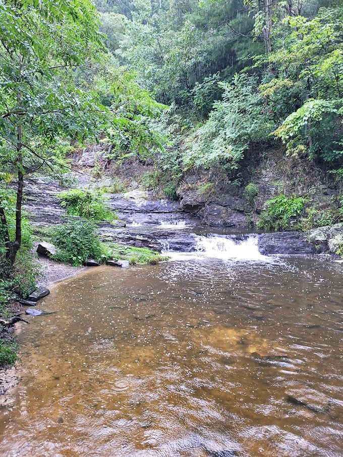 Nature's spa treatment – gentle cascades creating pools of tranquility where stress dissolves faster than an aspirin.