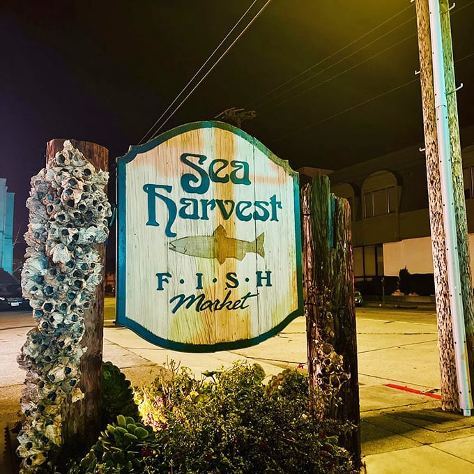 The wooden sign, adorned with actual seashells, glows like a lighthouse for hungry travelers. No neon needed when your reputation shines this bright.