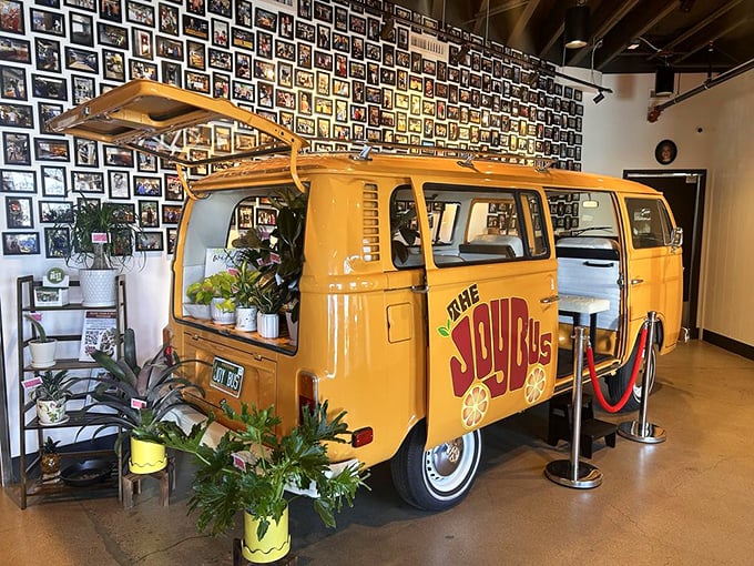 Inside, the iconic yellow bus serves as both art installation and mission statement—a reminder that joy is always the destination.