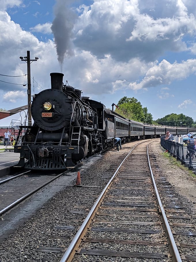 Steam locomotive number 3025 looks ready to pull passengers through time as easily as through the countryside.