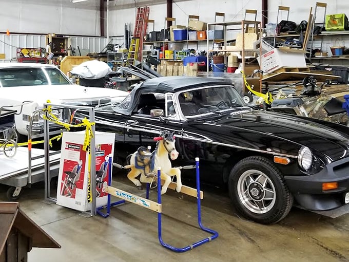 Classic cars and childhood rocking horses – different horsepower, same nostalgic rush. Automotive dreams parked indoors where it never rains.