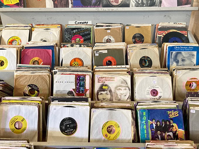 Vinyl record collections that would make any audiophile weep with joy—each sleeve a time capsule of musical history waiting to spin again.