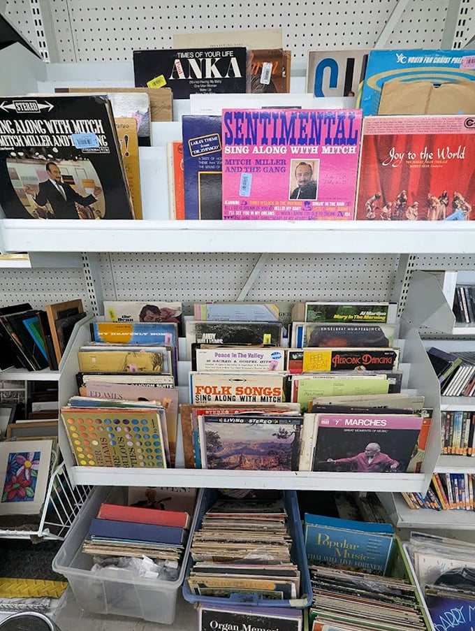 Vinyl records stand at attention like colorful soldiers, each sleeve a time machine to decades when music was something you could hold.