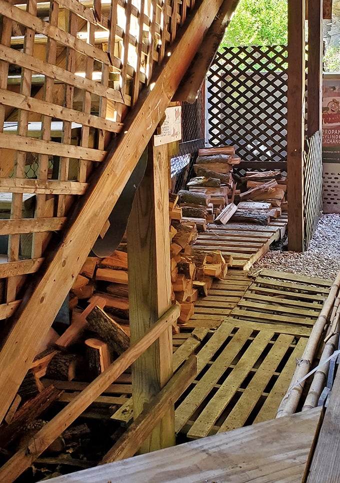Stacked firewood waiting for its moment of glory. The secret ingredient isn't just time—it's these carefully selected logs.
