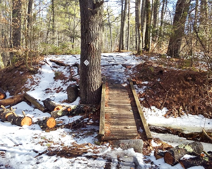 A snow-dusted footbridge invites winter hikers to cross into adventure. The crunch of snow underfoot provides nature's perfect soundtrack.