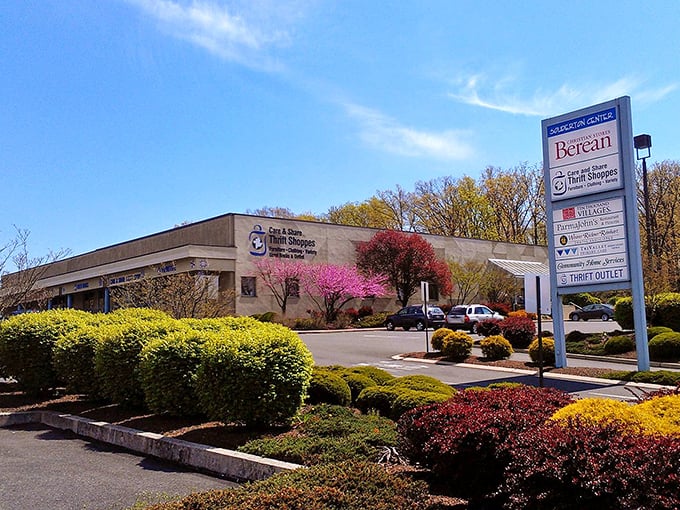 Professional landscaping and modern architecture elevate thrift shopping to a whole new level.