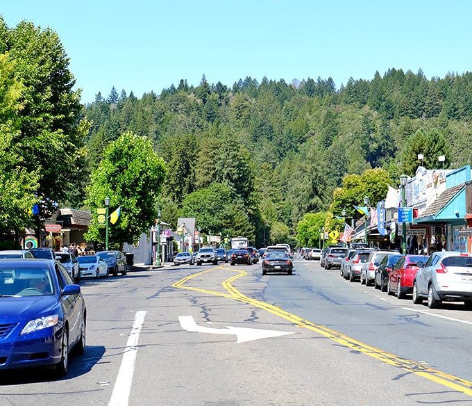 Guerneville's main street stretches beneath towering redwoods, where small-town charm meets ancient forest majesty in perfect harmony.