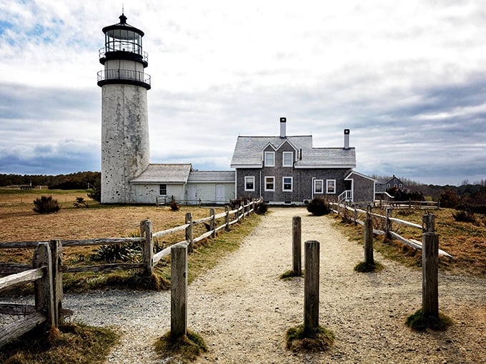 Like a lighthouse keeper's dream, this weathered beacon stands guard over Cape Cod's wild beauty.