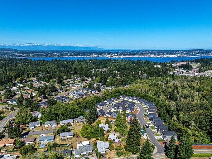 Port Orchard sprawls between forest and sea – nature's perfect sandwich with houses as the filling!