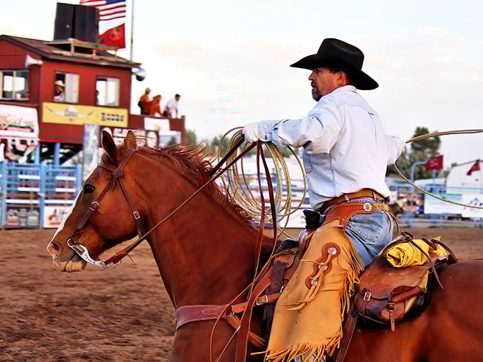 The Alamosa Round-Up showcases authentic Western heritage. Not a tourist show but the real deal – where cowboys earn their buckles the hard way.