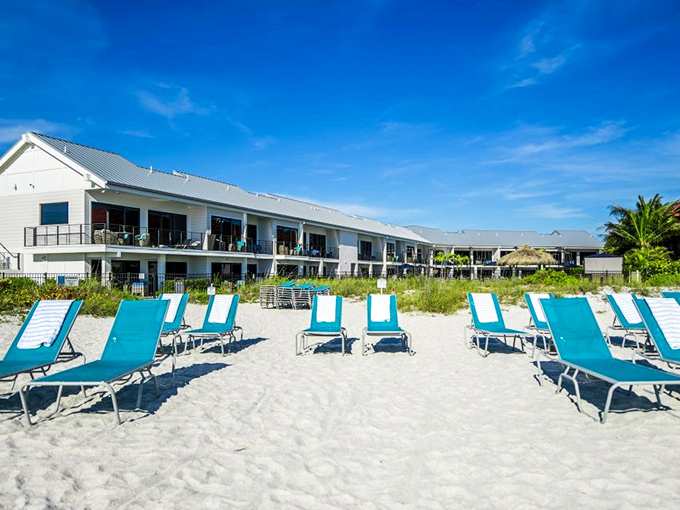 Beach chairs await at Anna Maria Beach Resort – their turquoise fabric matching the Gulf waters in what can only be described as "retirement color coordination."