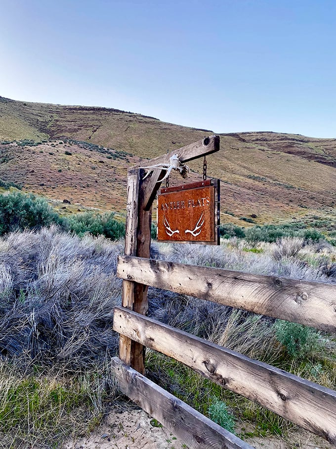 Antler Flats—where camping means falling asleep counting stars instead of scrolling through emails.