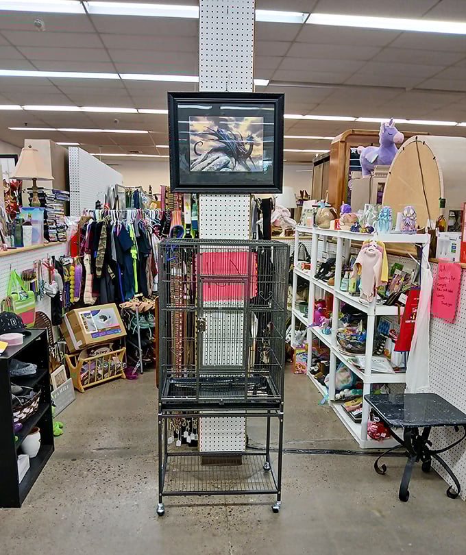 An eclectic aisle where bird cages meet unicorns – proof that at this flea market, the unexpected is always just around the corner.