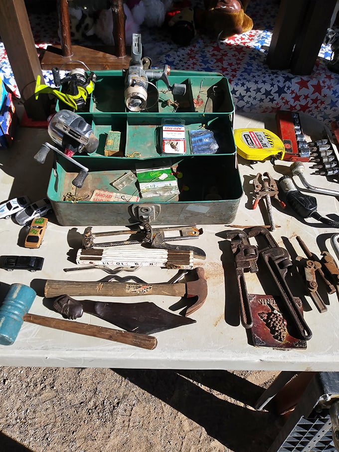 Tools with stories etched into their worn handles—each hammer, wrench and saw a veteran of projects both finished and abandoned.