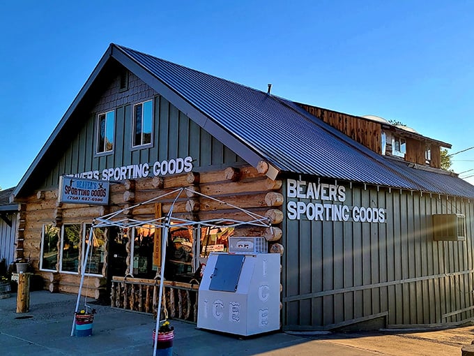 Beaver's Sporting Goods – where outdoor adventures begin and local wisdom comes free with every purchase.