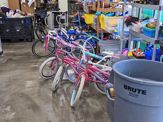 The bicycle brigade stands at attention, ready for new adventures. From pink princess models to practical commuters, two-wheeled freedom awaits.