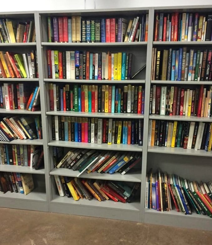 Books stacked like soldiers, spines at attention. Literary treasures at paperback prices—no algorithm recommendations needed here.