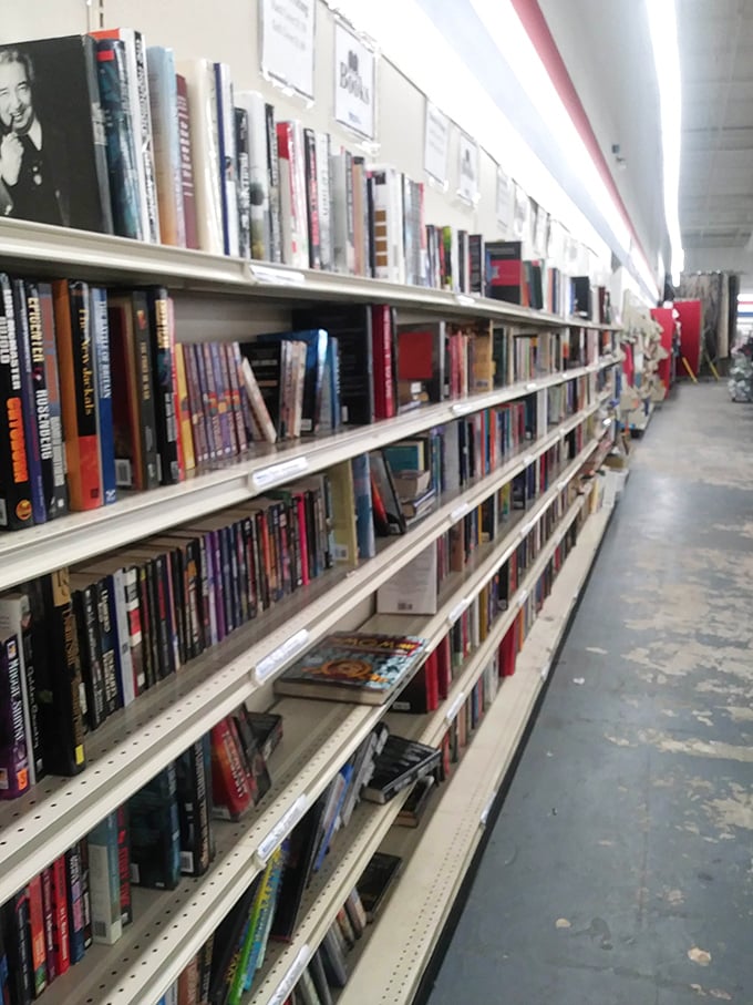 Literary treasures line up like soldiers of knowledge, their spines telling stories before you even crack open their covers.
