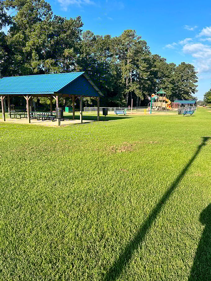 Brookhaven City Park delivers acres of free entertainment – because the best things in life actually are free here.