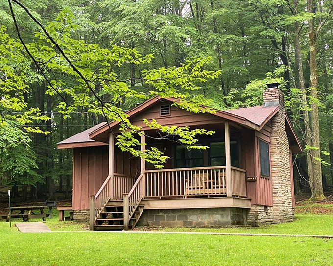 Cozy cabins nestled among towering trees offer the perfect basecamp for adventure. Like Goldilocks would say—not too rustic, not too fancy, just right.