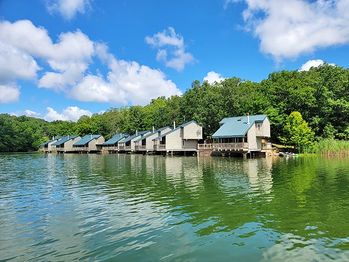 Not just cabins – floating havens where morning coffee comes with a side of mist dancing across water so still you can count the clouds.