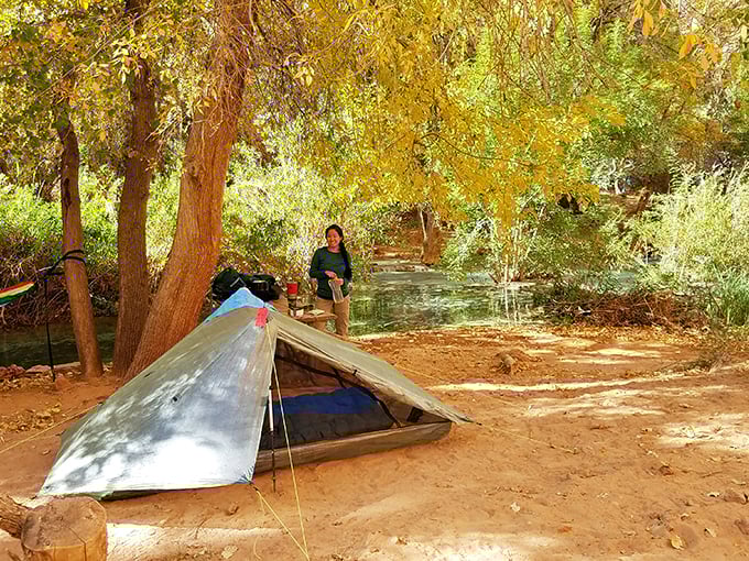 Camping beneath towering cottonwoods with creek-side serenades beats any five-star hotel's ambient sound machine.