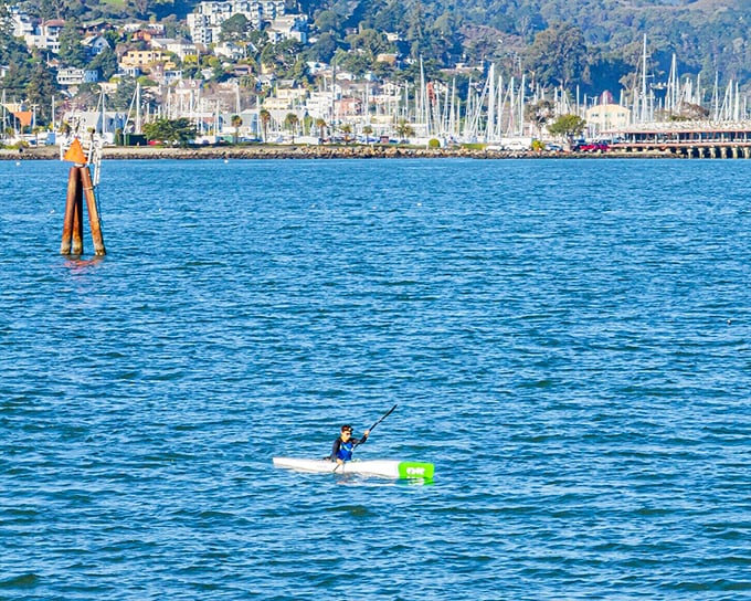 Adventure awaits on Sausalito's calm waters, where paddleboarders glide across the bay with the town's picturesque backdrop.
