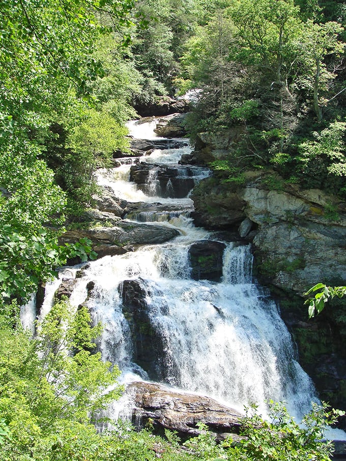 Cullasaja Falls cascades with the kind of natural drama that makes your smartphone camera feel woefully inadequate – some beauty simply demands to be experienced firsthand.