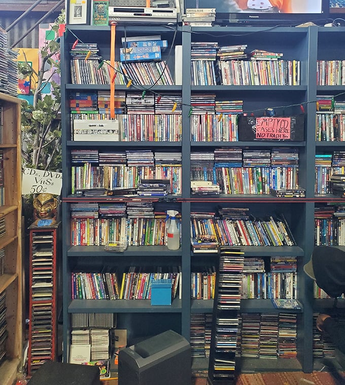 Media shelves packed with forgotten films and shows—physical reminders of when "streaming" meant running to Blockbuster in the rain.