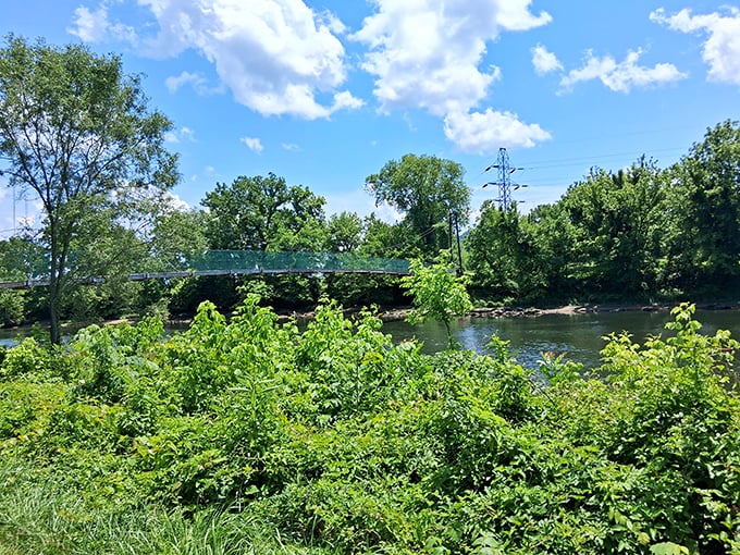 The Holston River flows as unhurried as Kingsport's pace of life—a reminder that some things shouldn't be rushed.