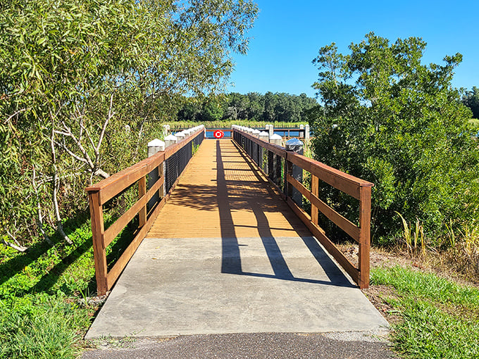 This wooden bridge doesn't just connect two shores—it links our everyday world to the wild Florida that existed before theme parks.