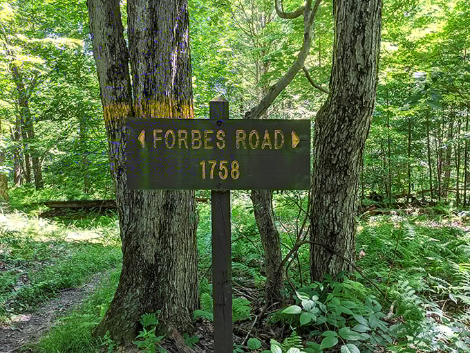 Historic Forbes Road marker – where 18th-century pathfinders and 21st-century hikers share the same sense of wonder, separated only by time.