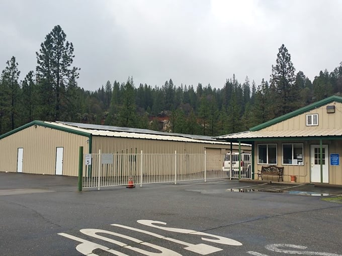 Even storage facilities in Foresthill embrace mountain aesthetics, proving function doesn't have to sacrifice Sierra style.