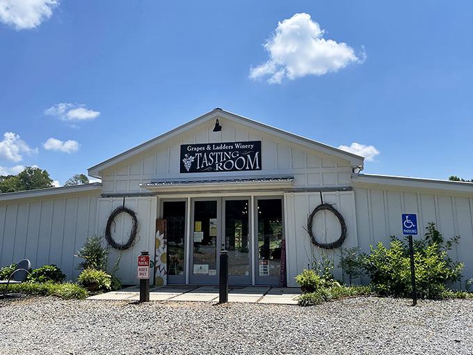 Grapes and Ladders Winery's tasting room offers the perfect blend of rustic charm and sophisticated sipping—no sommelier attitude required.