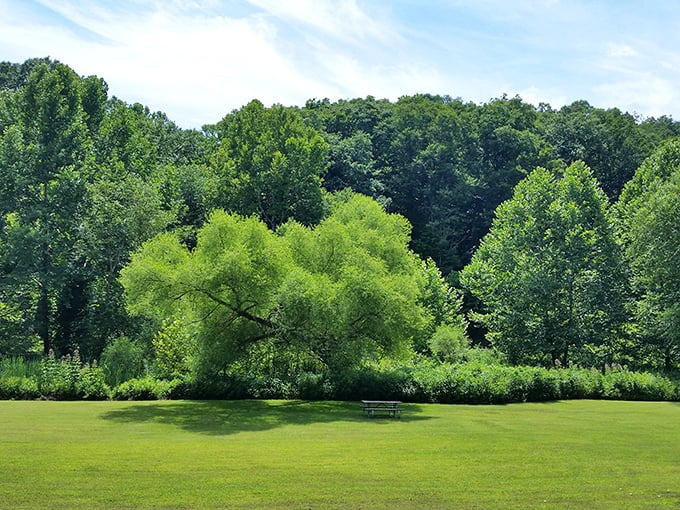 Nature's perfect picnic spot, where the only reservation required is the one you make with yourself to slow down and breathe.