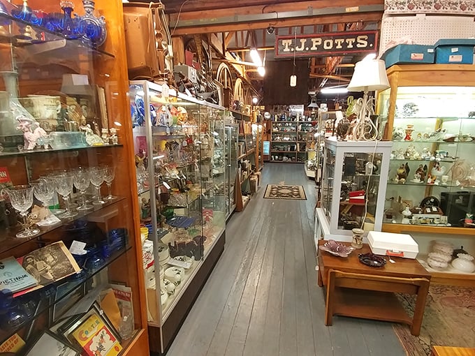 Down the rabbit hole of collectibles you go. This corridor of curated curiosities stretches toward possibilities limited only by imagination.
