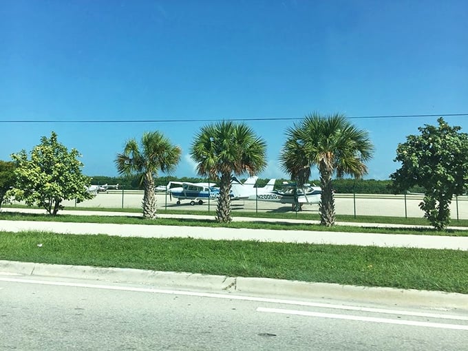 Palm trees standing at attention along the highway, nature's way of saying "Welcome to paradise" with a tropical salute.