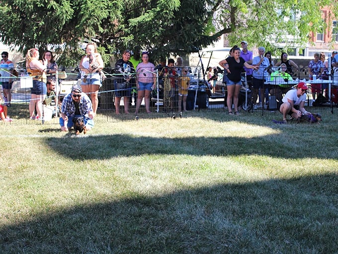 The Hot Dog Festival brings the community together for some good old-fashioned fun. Notice how nobody's checking their phones—they're too busy enjoying actual human connection.