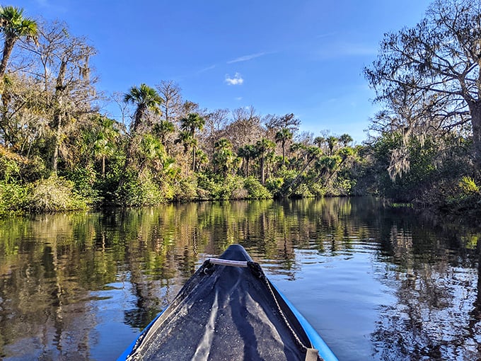 The bow of a canoe parts tea-colored waters as palms and cypress create nature's cathedral ceiling—spiritual experiences don't require admission tickets.