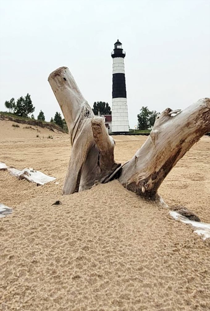 Driftwood frames the distant lighthouse like nature's own viewfinder. The sand tells stories of thousands of footsteps making this same pilgrimage.
