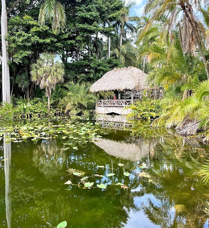 A thatched-roof gazebo hovers over lily pads like something from a tropical fairy tale—just add fireflies and a talking frog prince.