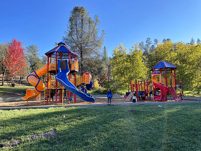 Colorful playground equipment surrounded by autumn-kissed trees – because grandparent duties should come with slides that make your knees remember they're not twenty anymore.
