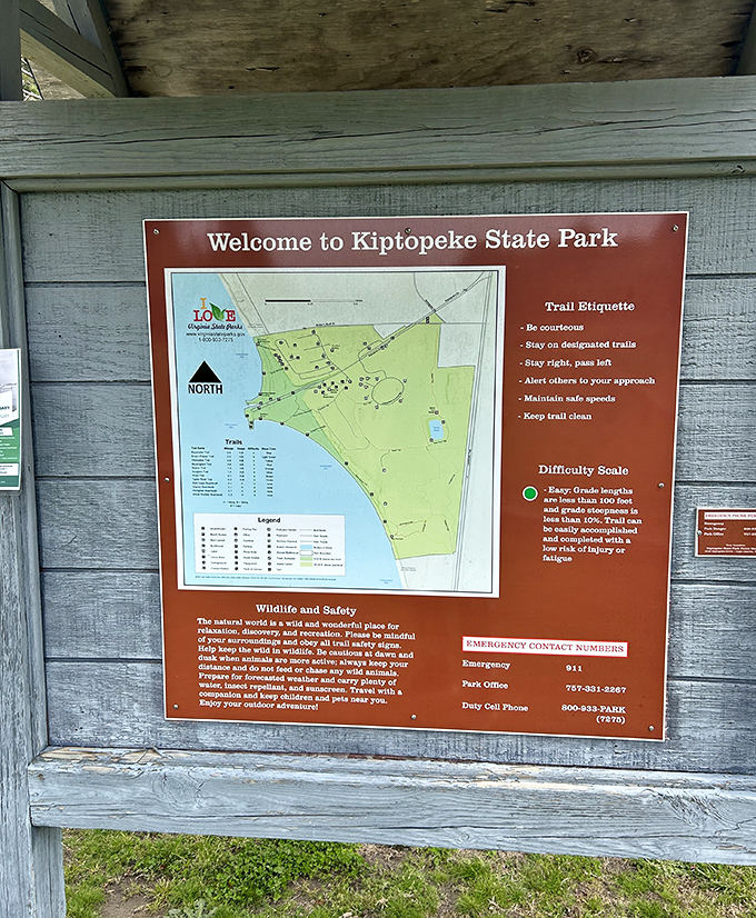 The treasure map to outdoor bliss! This guide ensures you won't miss any of Kiptopeke's hidden gems—no pirate skills required.