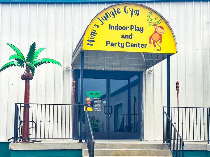Mimi's Jungle Gym brings indoor adventure to rainy Tennessee days – because childhood energy doesn't pause for weather forecasts.