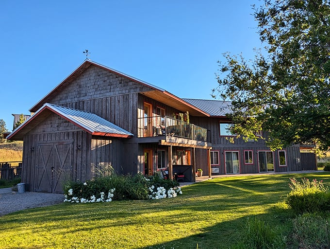 This isn't just a barn conversion—it's architectural poetry where rustic charm meets modern comfort, all dressed in weathered wood and morning light.